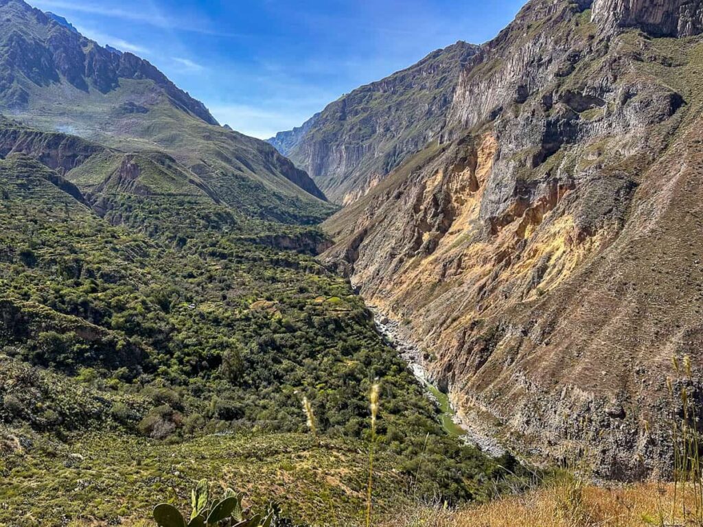 The Colca Canyon Trek in Peru: Everything You Need to Know - 90summers.com
