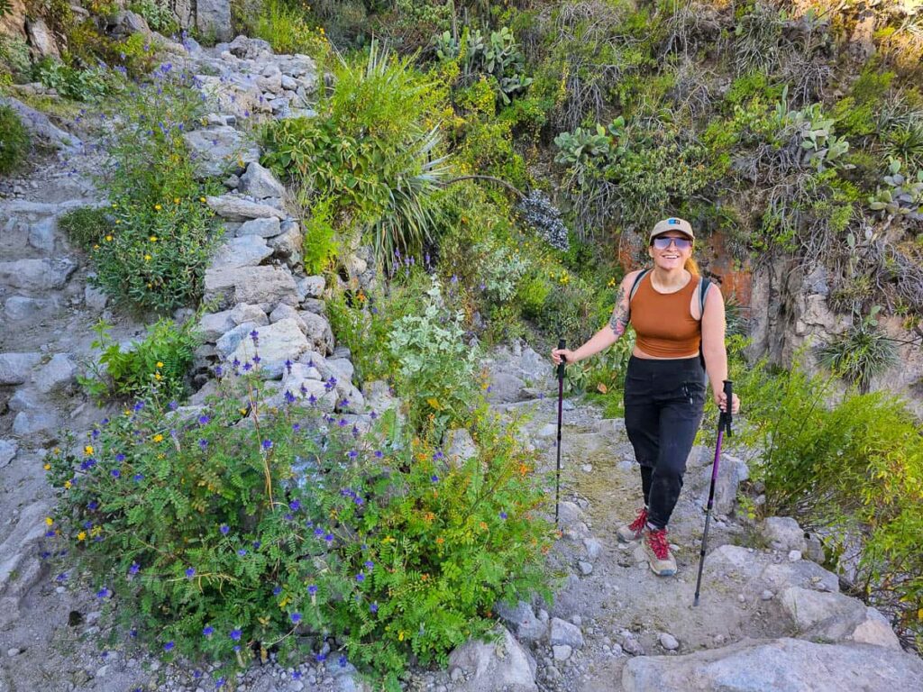 The Colca Canyon Trek in Peru: Everything You Need to Know - 90summers.com