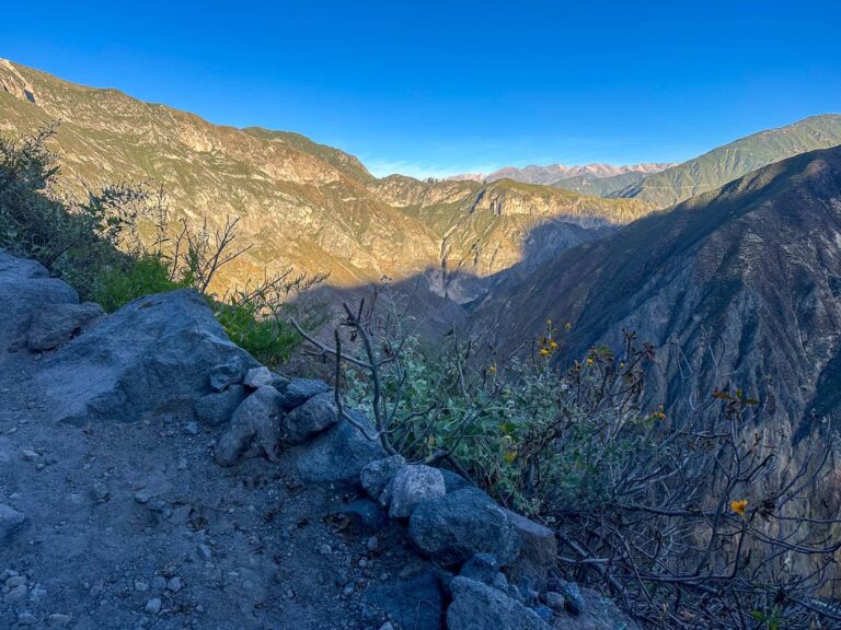 The Colca Canyon Trek in Peru: Everything You Need to Know - 90summers.com