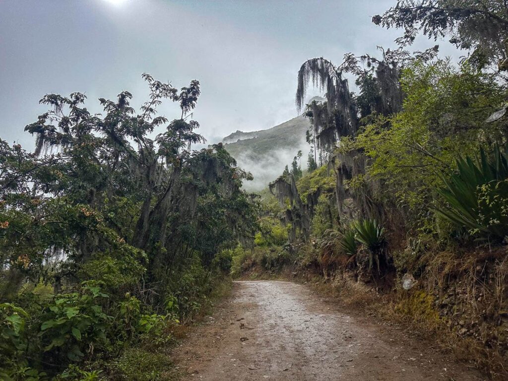 Inca Trail: The ULTIMATE Hiking Guide - 90summers.com
