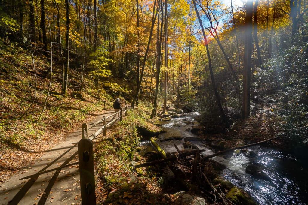 Anna Ruby Falls Trail: The Most Popular Hike Near Helen, Georgia ...