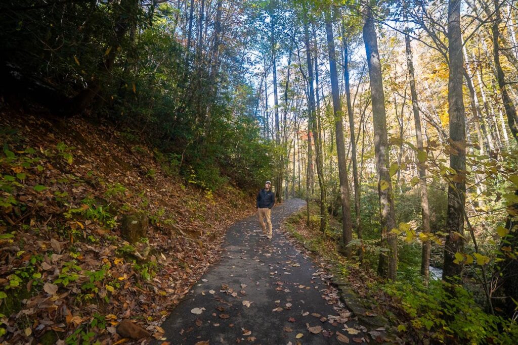 Anna Ruby Falls Trail: The Most Popular Hike Near Helen, Georgia ...