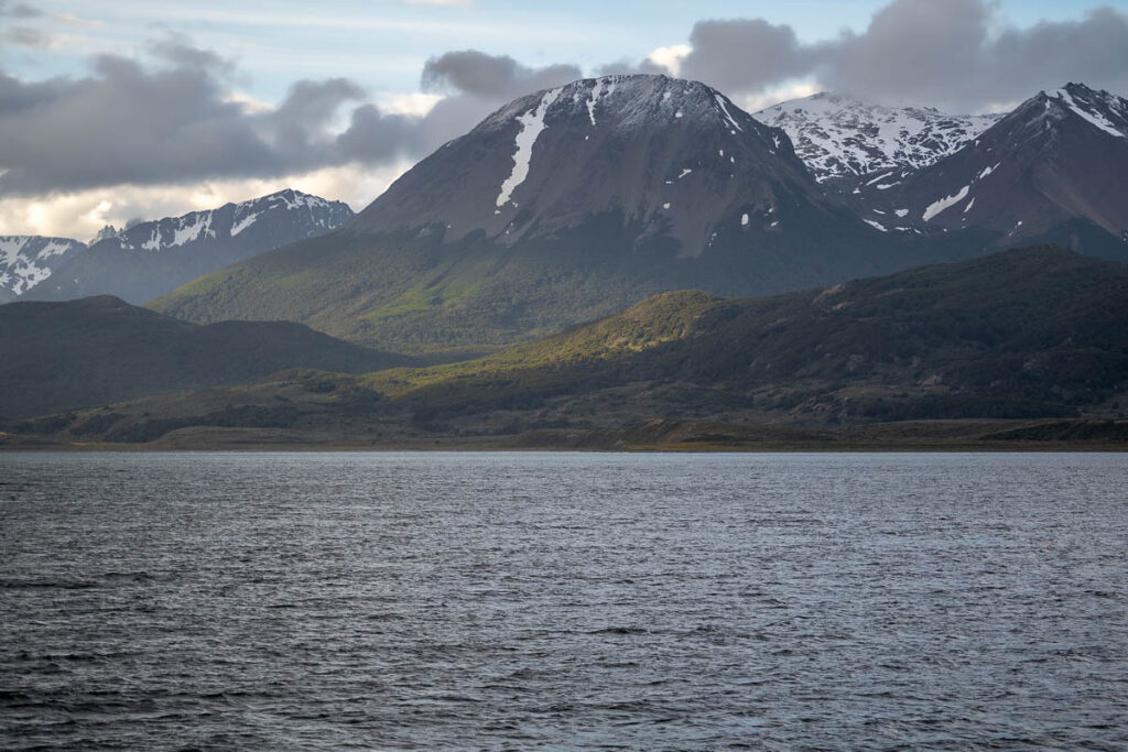 Martillo Island: Seeing Penguins in Ushuaia, Argentina - 90summers.com