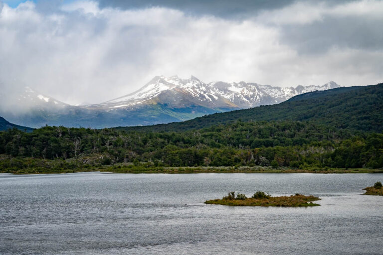 Martillo Island: Seeing Penguins in Ushuaia, Argentina - 90summers.com