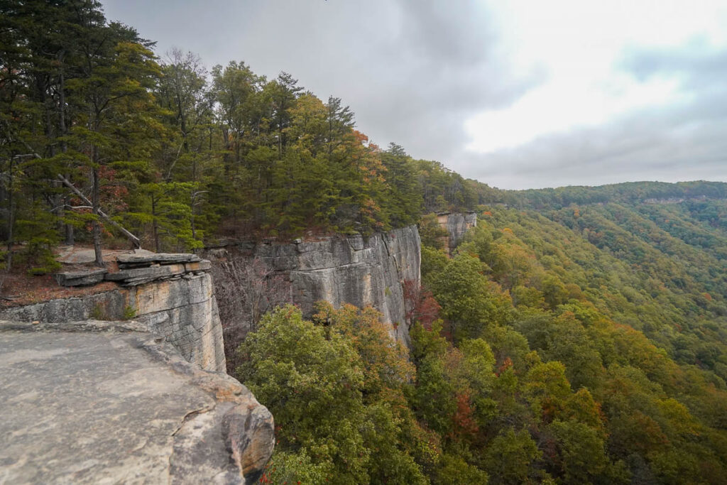 Hiking Endless Wall Trail in New River Gorge National Park - 90summers.com