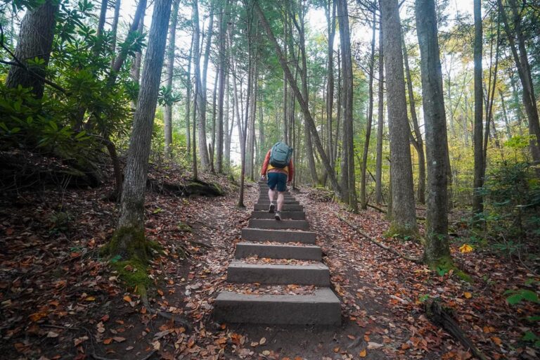 Hiking Endless Wall Trail in New River Gorge National Park - 90summers.com